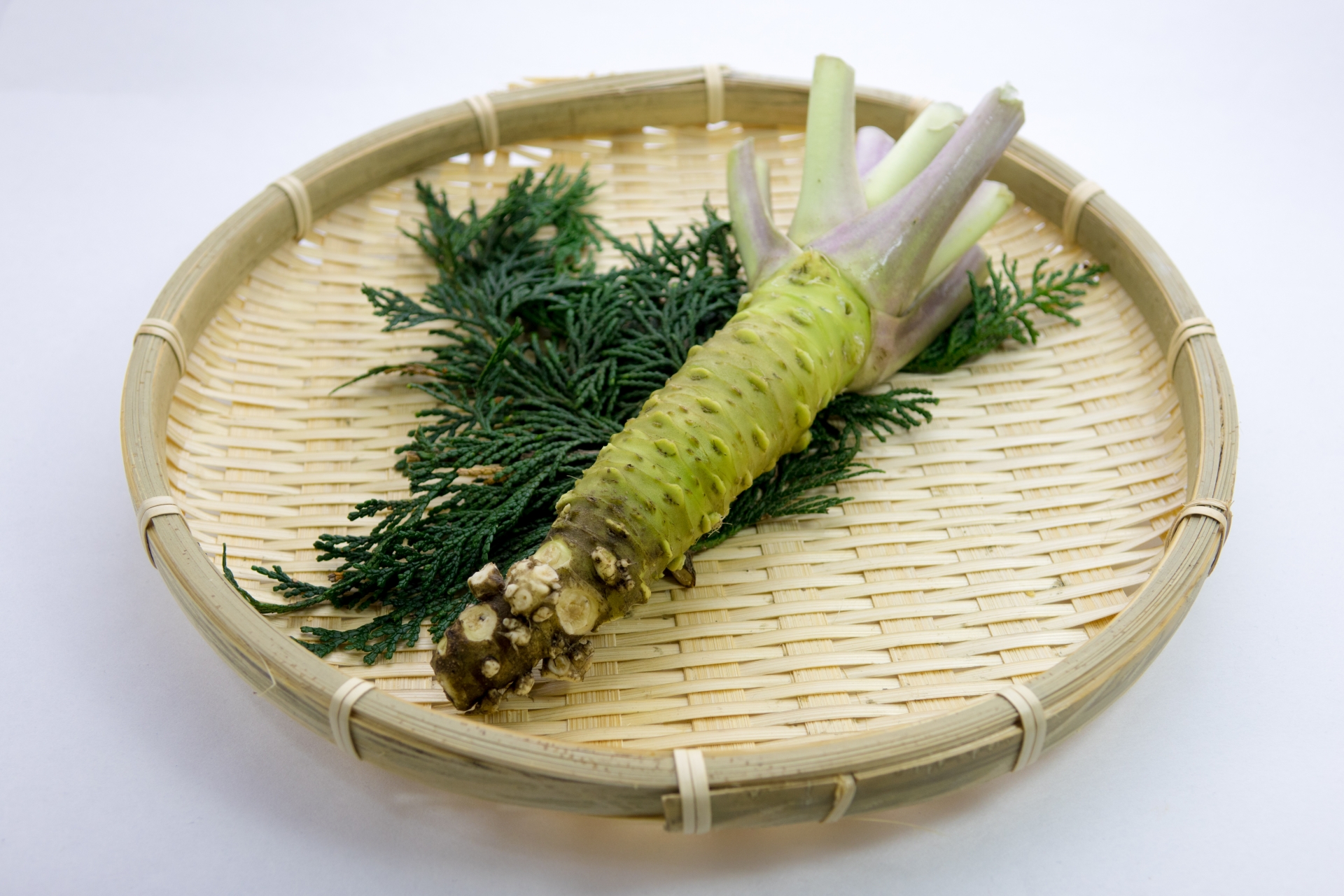 ログイン | SYOKUTSU